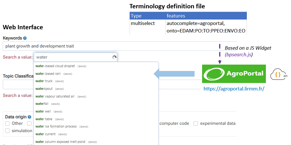 Maggot - Vocabulary - Maggot